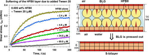 Shear rheology of mixed protein adsorption layers vs their structure ...