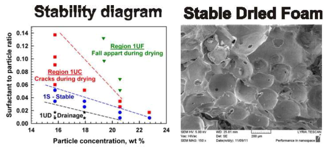 Factors controlling the formation and stability of foams used as ...