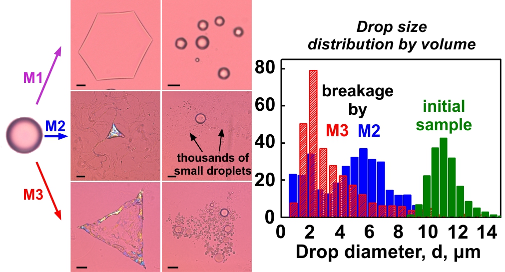 Mechanisms and control of self-emulsification upon freezing and melting ...