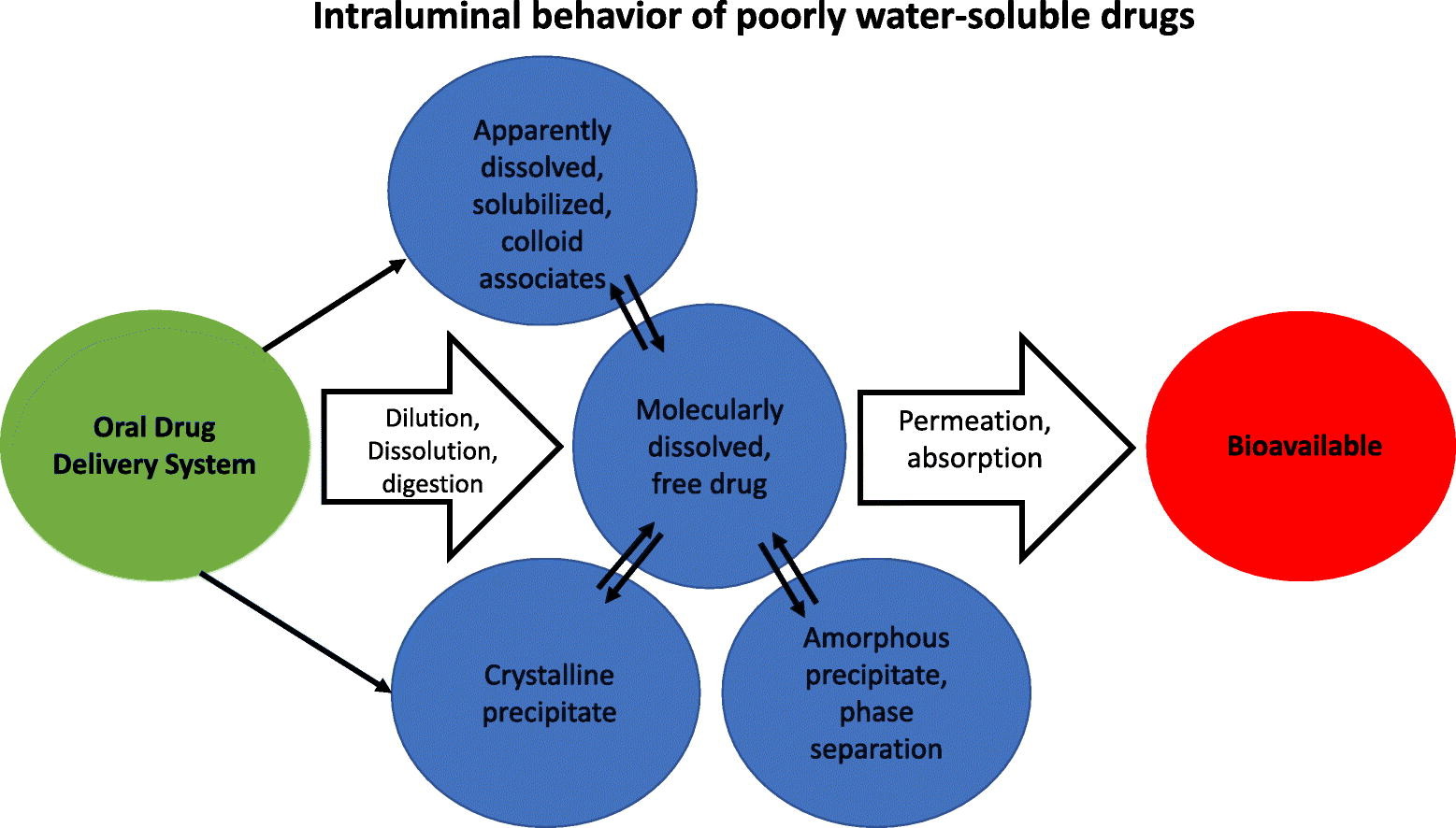 Successful oral delivery of poorly water-soluble drugs both depends on ...