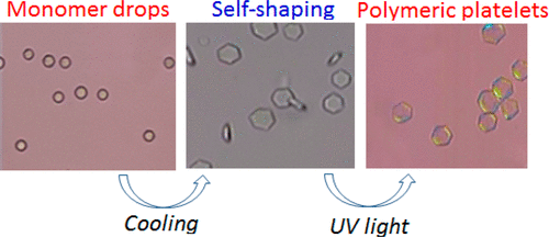 Bottom-up synthesis of polymeric micro- and nanoparticles with regular ...