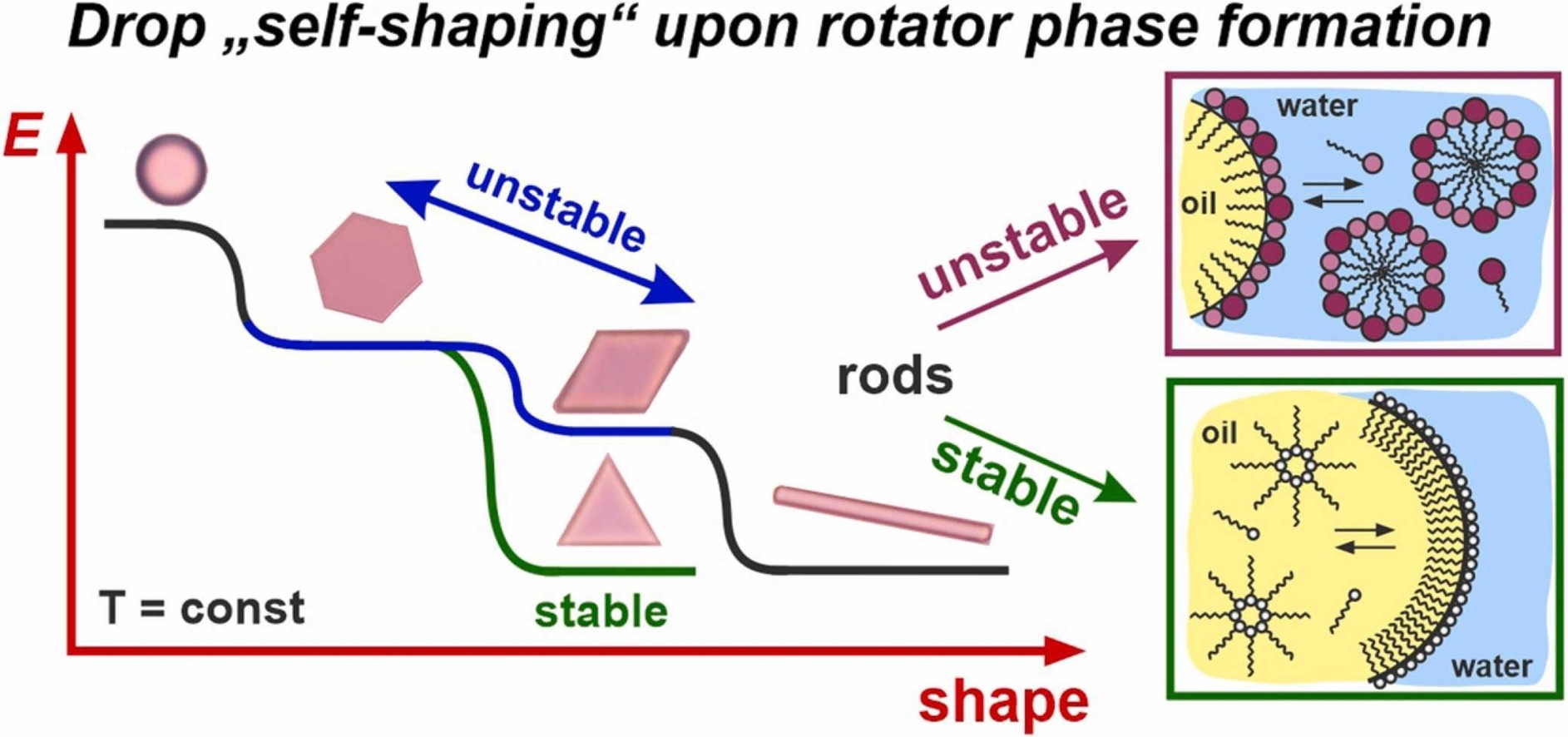 Drop shape stability vs shape shifting: Role of surfactant adsorption ...