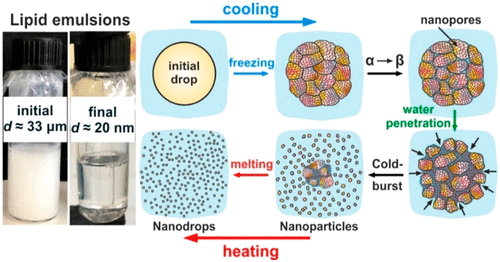 Nanopore and nanoparticle formation with lipids undergoing polymorphic ...
